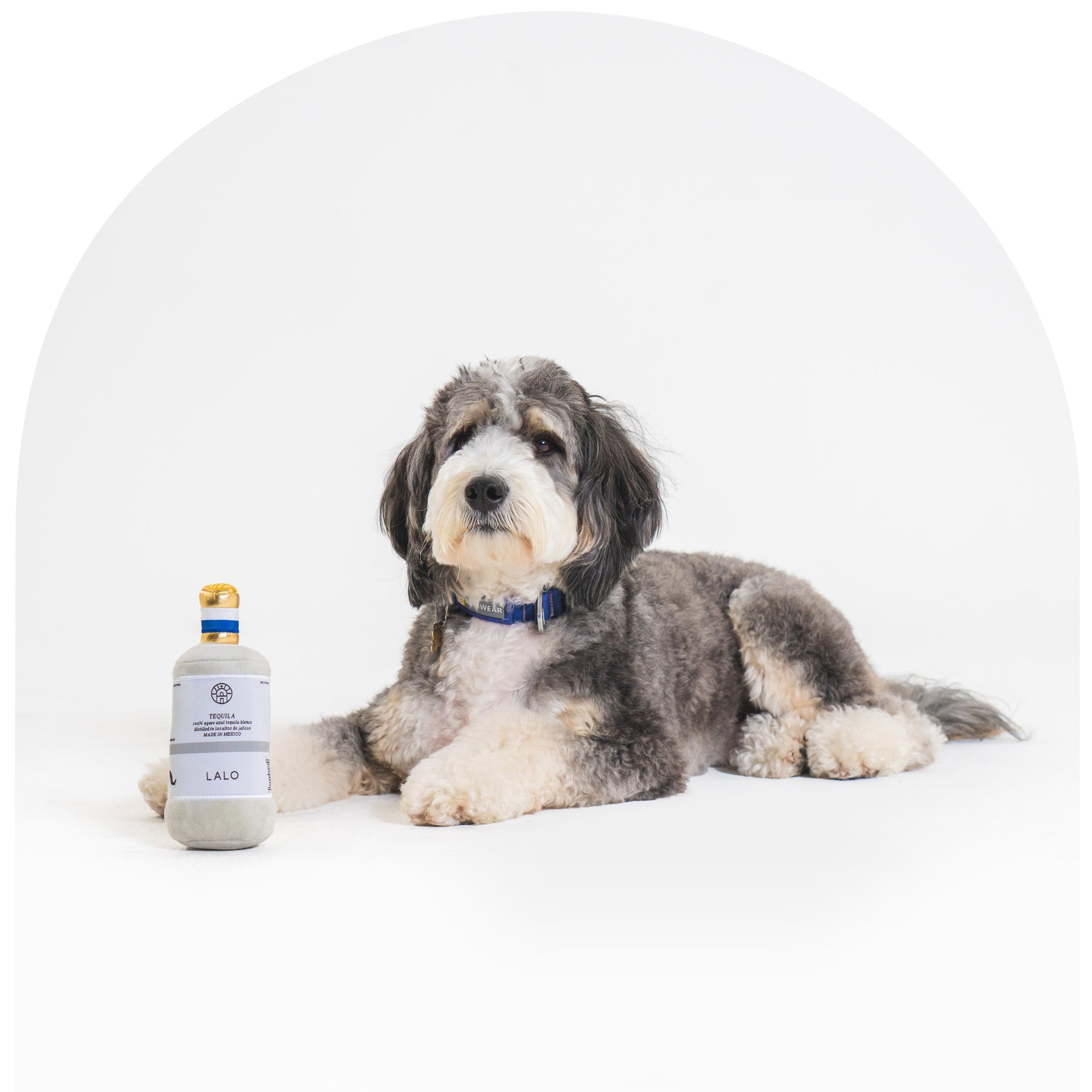 Tequila Dog Toy | Tequila Bottle Dog Toy | LALO Tequila